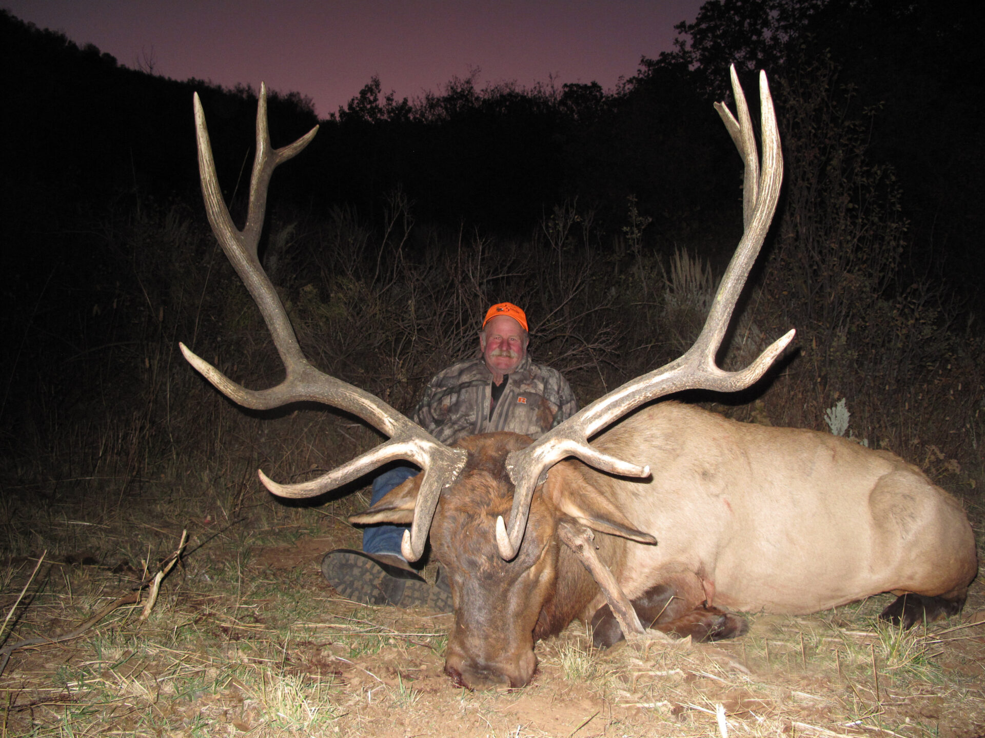 Elk – J&J Outfitters